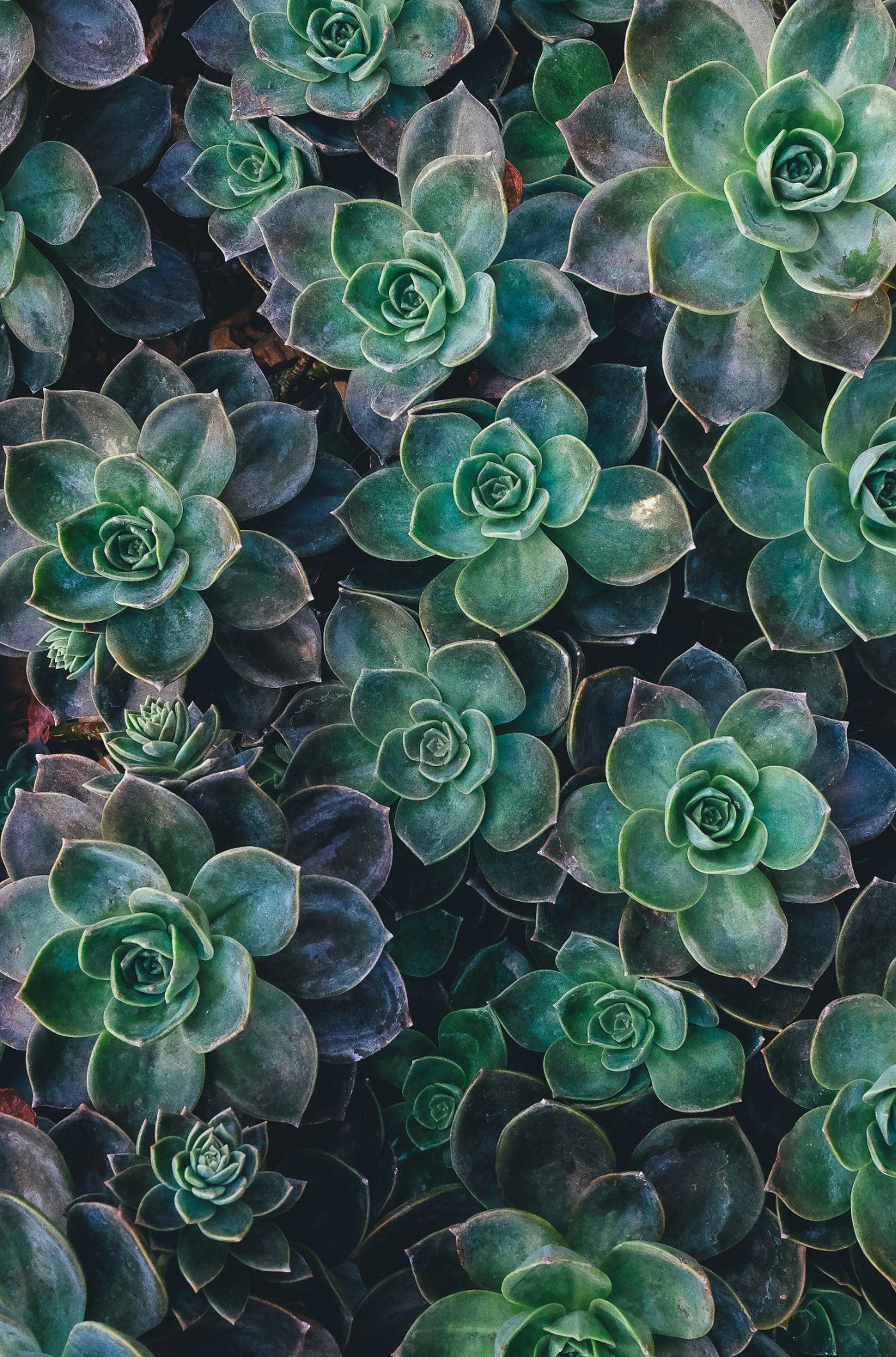Embodied Awareness and the Body in Gestalt Therapy - Gestalt Review